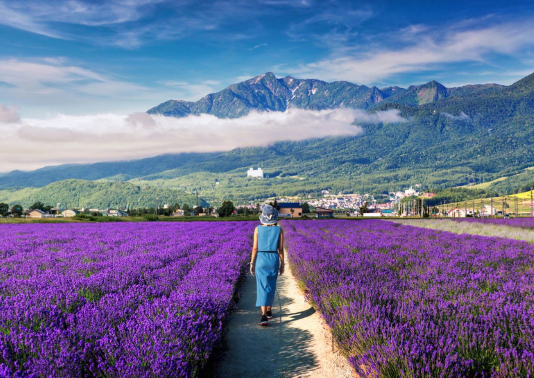 Why Hokkaido Makes the Perfect Summer Japan Trip - Japanspecialist