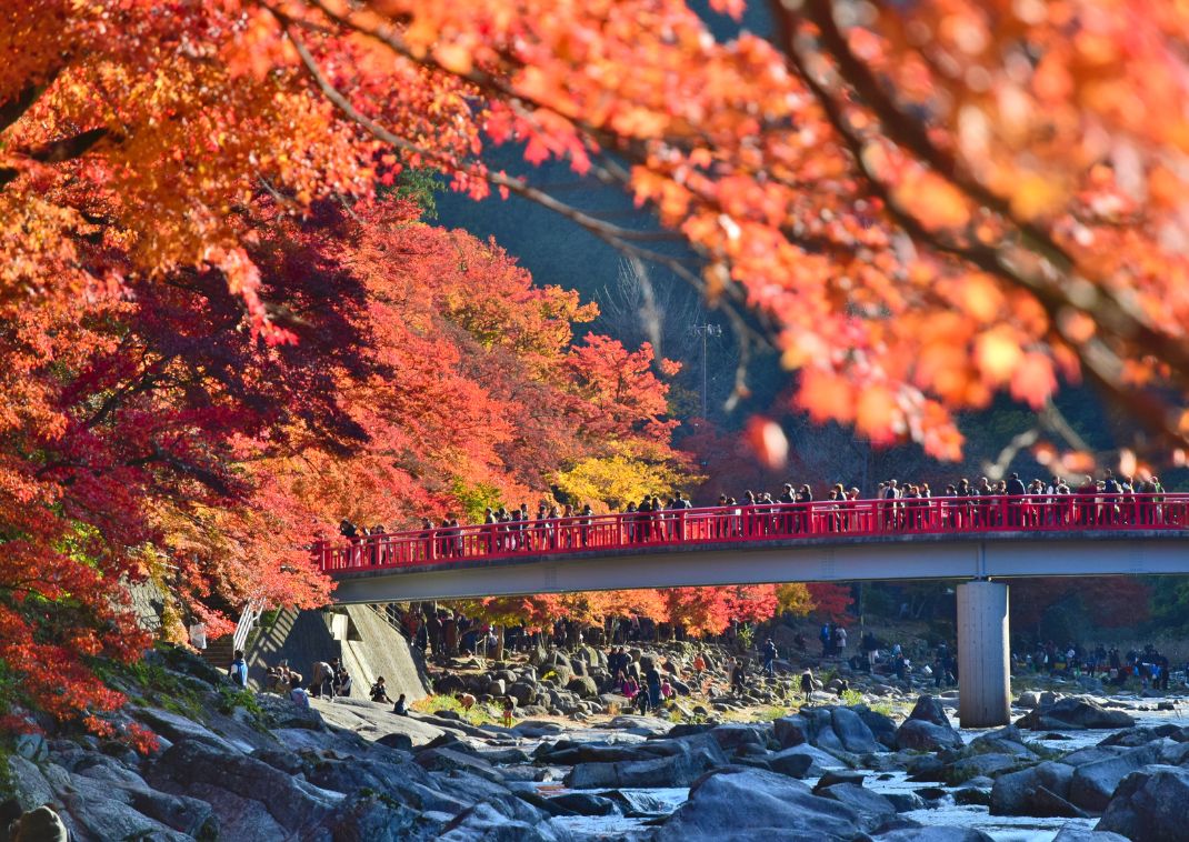 The Ultimate Guide to Autumn in Japan: Everything You Need to Know ...